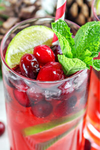 Cranberry Mojito Cocktail Recipe - Home Cooking Memories