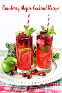 Cranberry Mojito Cocktail Recipe - Home Cooking Memories